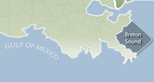 Spearfishing Breton Sound | NO Adventure